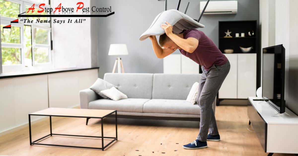 Understanding Common Household Pests: A Guide to Identifying and ...